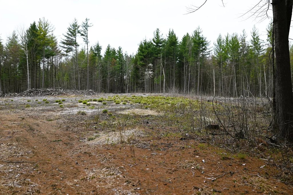 3-Bedroom Cabin on 144 Acres in Constable, New York - WA Online