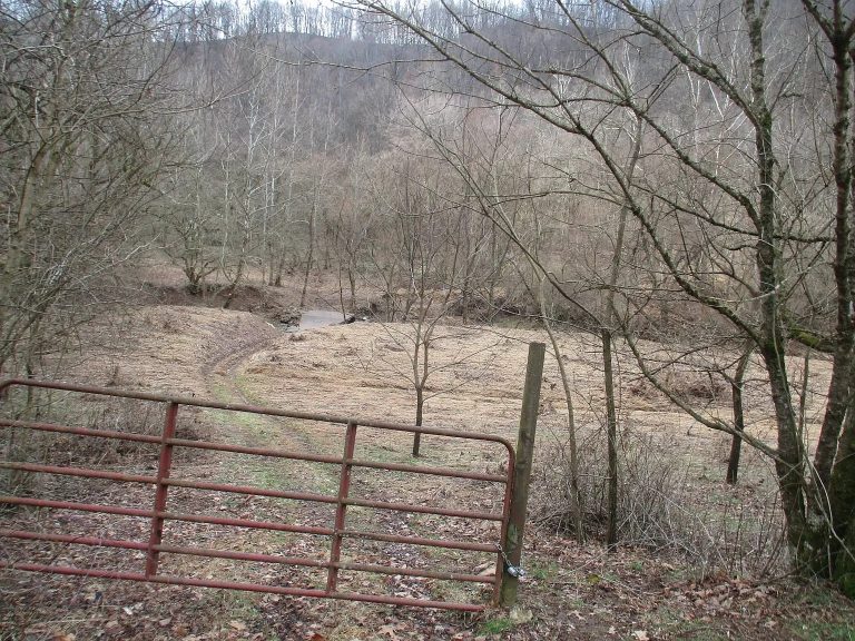 3-Bedroom Home on 57 Acres in Normantown, West Virginia - Daily Cuteness