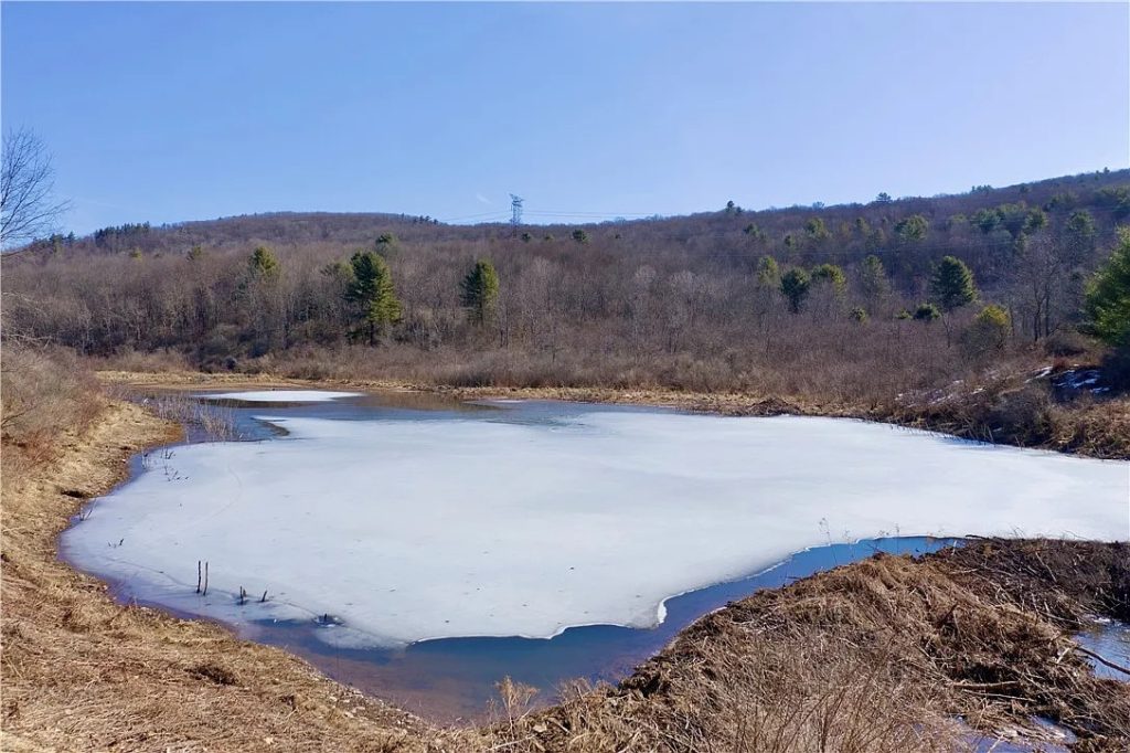 3-Bedroom Home on 92.31 Acres for Sale in Otego, New York - Daily Cuteness