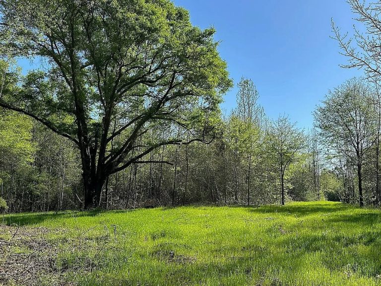 141 Acres of Land Available in Concord, Georgia - WA Online