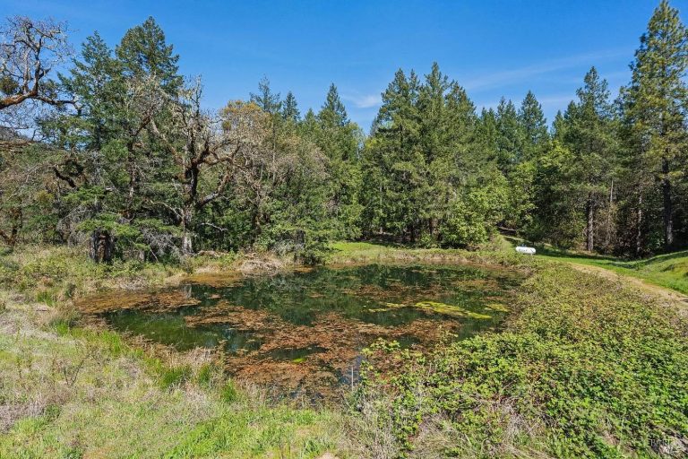 Off-Grid 640-Acre Property with Historic Cabin in Laytonville ...