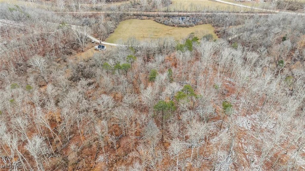 Walker, West Virginia Land with Septic, Well, and Hunting Potential - WA Online