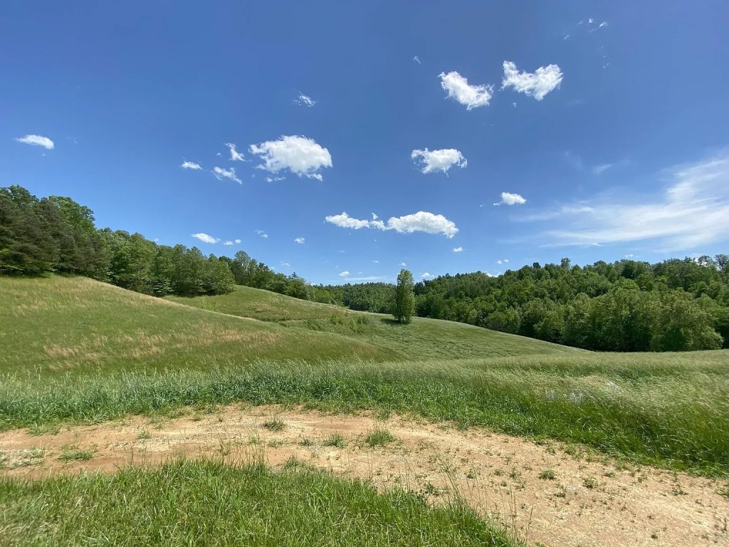 Quiet Acreage with an Unfinished Cabin in Tyner, Kentucky - WA Online