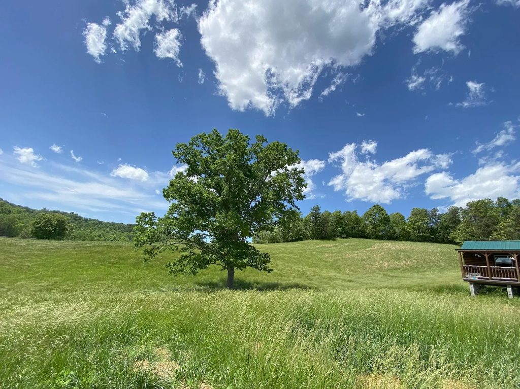 Quiet Acreage with an Unfinished Cabin in Tyner, Kentucky - WA Online
