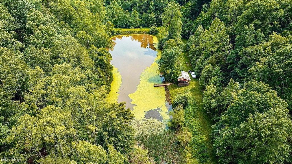 53 Acres with Stocked Pond and Hunting Land in Walker, West Virginia - WA Online