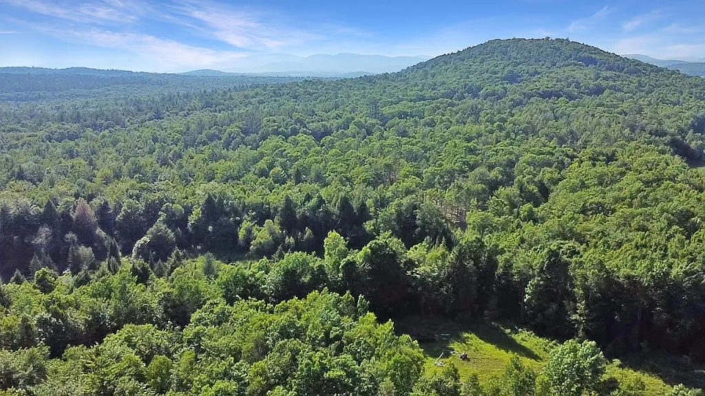 114 Acres of Secluded Timberland with Mountain Views in Hartford, Maine ...
