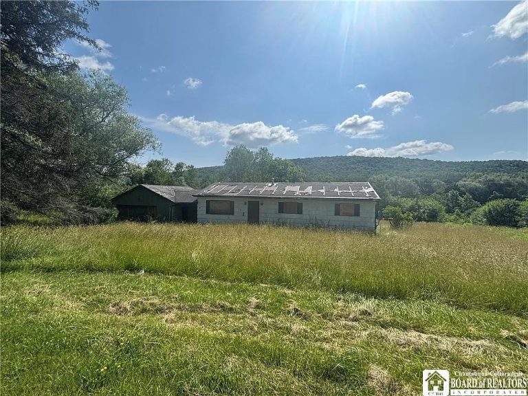 25 Acres with Trout Stream and Ranch Home for Renovation in Scio, New ...