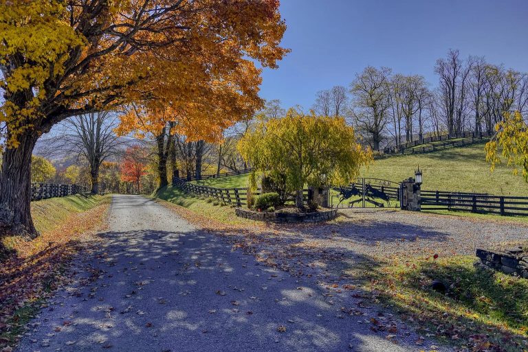 Custom Mountain Estate with 216 Acres in Valley Head, West Virginia ...