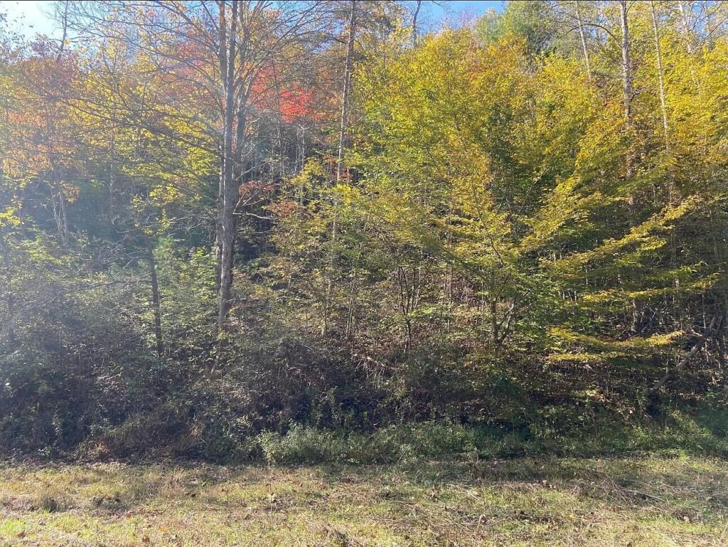 56-Acre Wooded Property in Jackson, Kentucky - WA Online