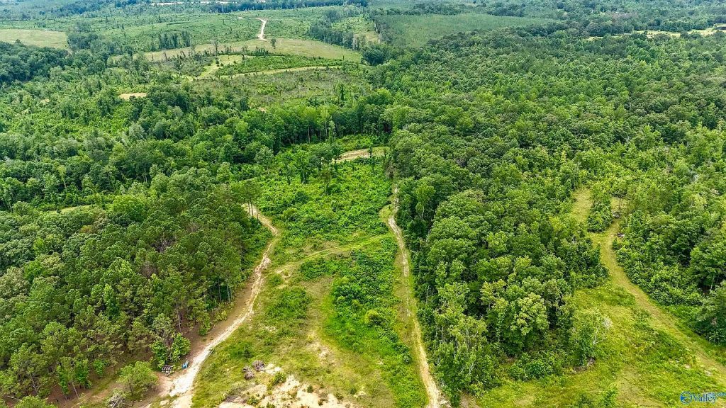 68-Acre Property with Pool in Hamilton, Alabama - WA Online