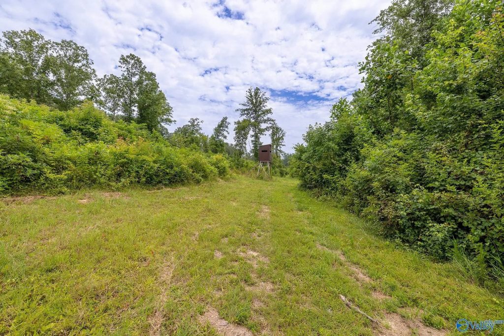 68-Acre Property with Pool in Hamilton, Alabama - WA Online