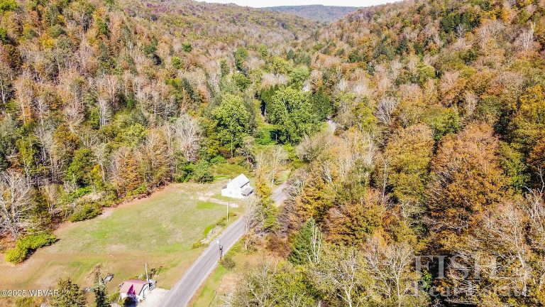 55-Acre Wooded Property in Muncy Valley, Pennsylvania - WA Online