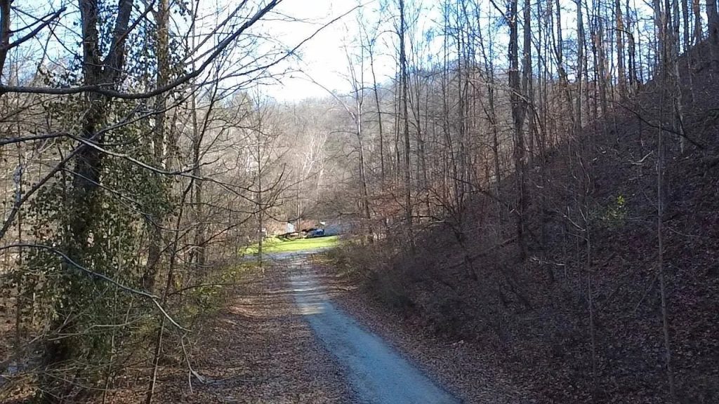 181 Acres with Road Access in Ashford, West Virginia – 24/7