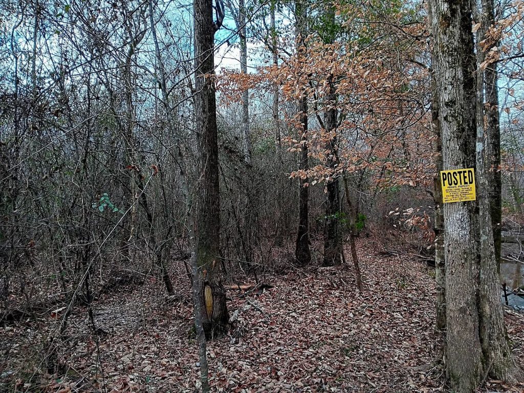 Land with 57 Acres in Detroit, Alabama - WA Online