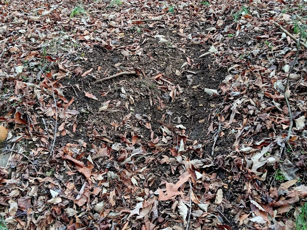 Land with 57 Acres in Detroit, Alabama - WA Online