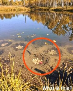 I Found Something Strange and Mysterious at the Bottom of an Abandoned ...